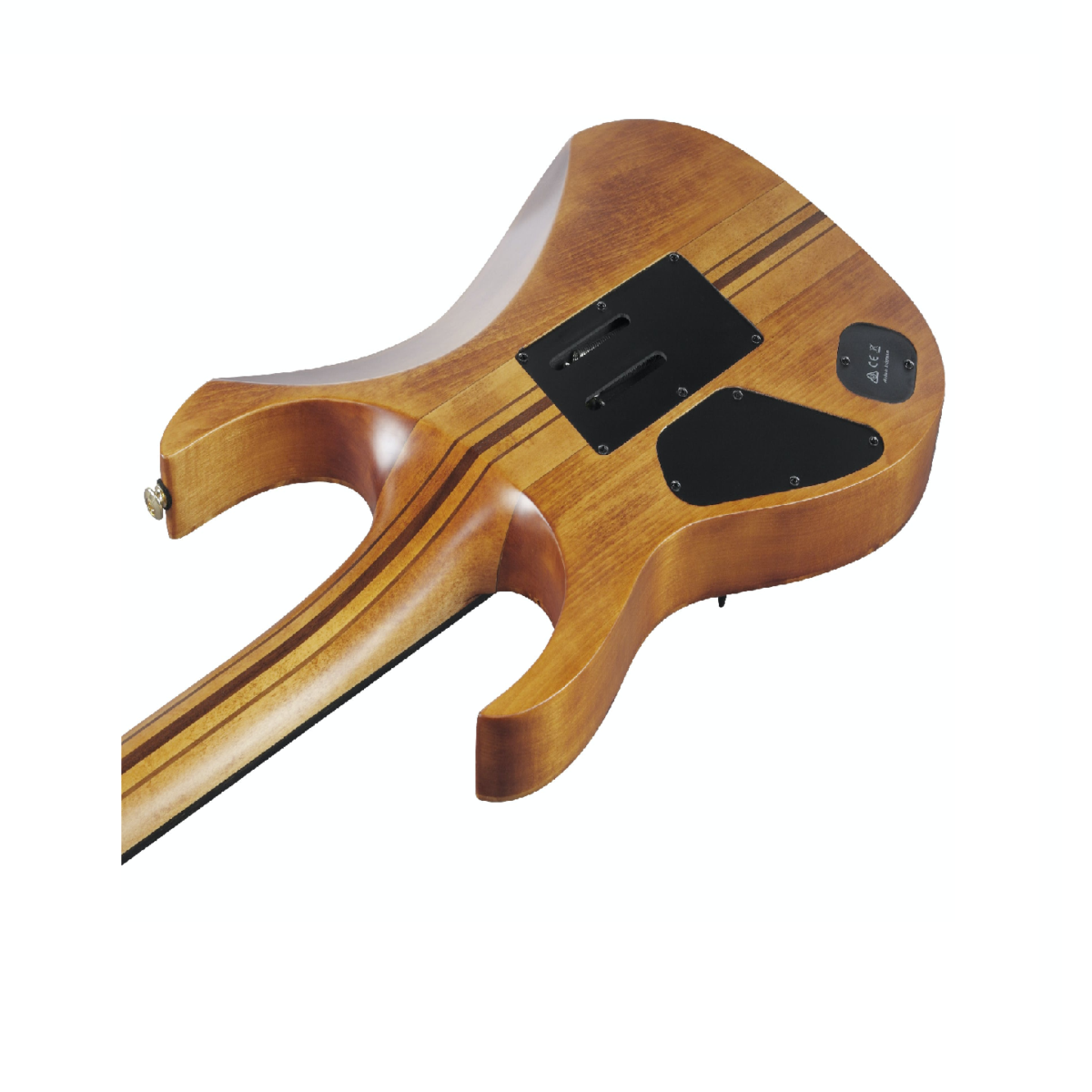 Ibanez RGT1220PB ABS guitarra eléctrico premium - Ultramar Audio